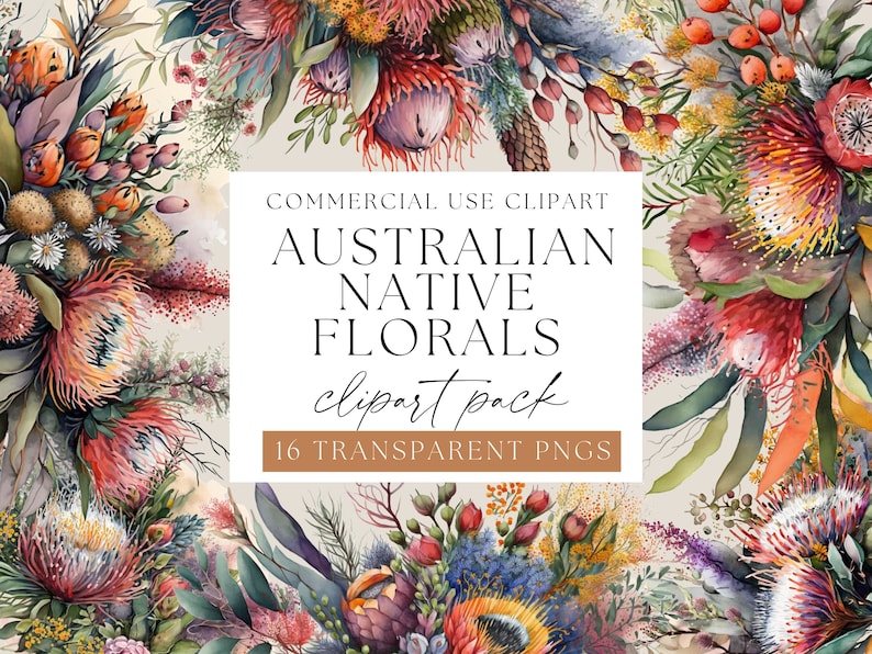 Australian Native Flowers Clipart, Protea Flowers, Transparent Pngs ...