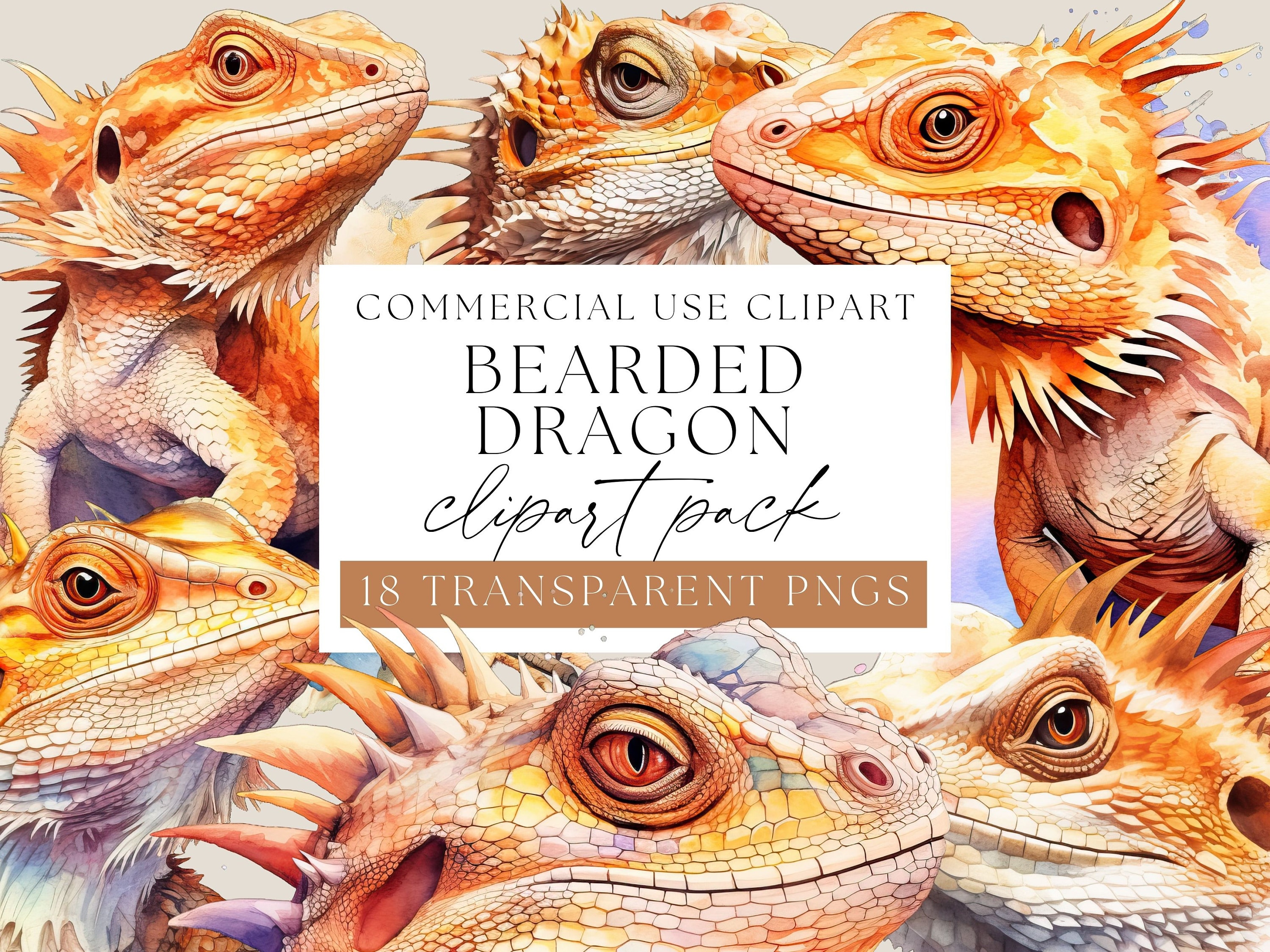 Bearded Dragon Clipart, Lizard Clip Art, Exotic Pet Images, Beardies ...