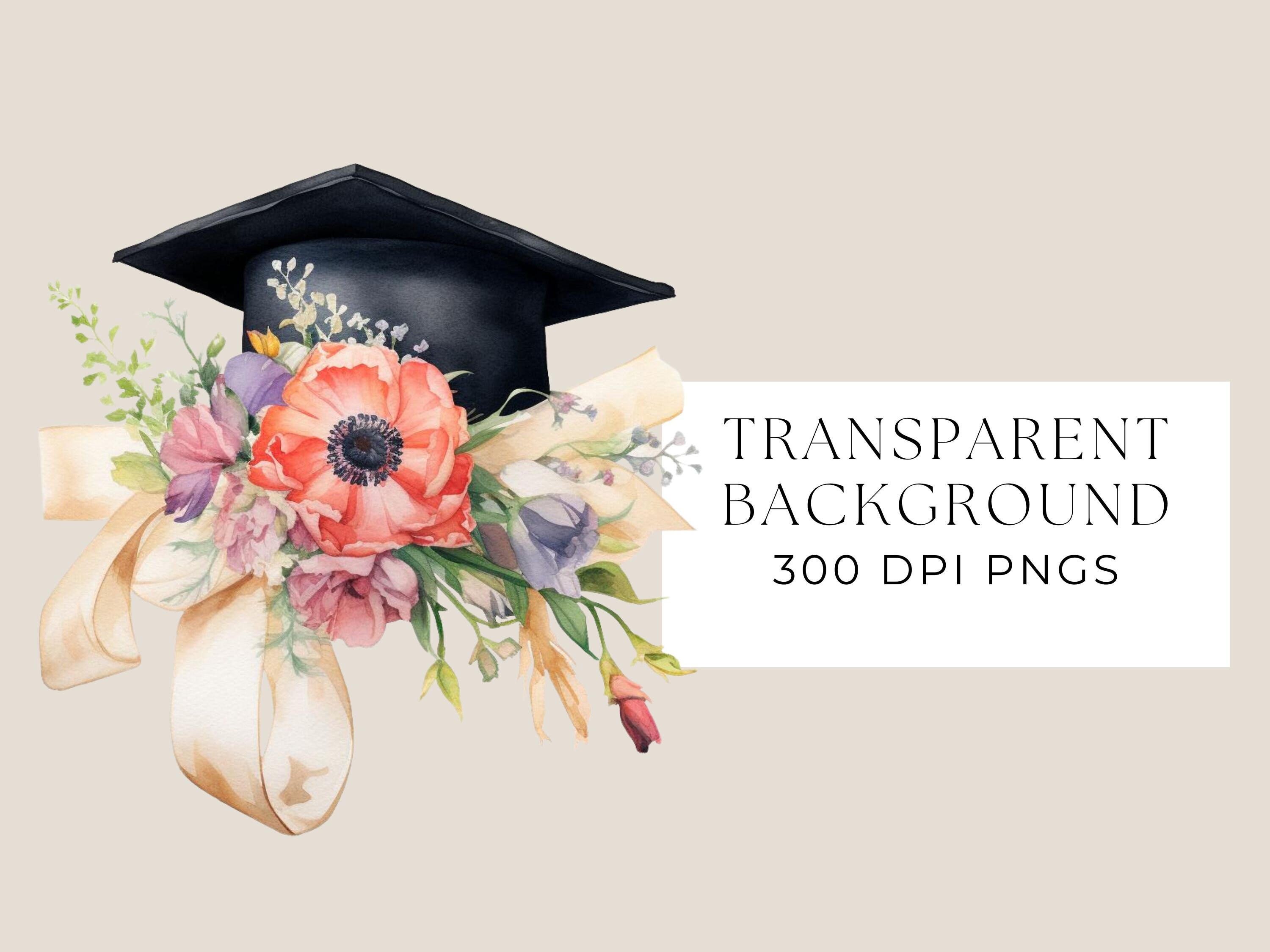 Graduation Clipart Watercolor, Transparent Pngs, Graduating Scroll Clip ...