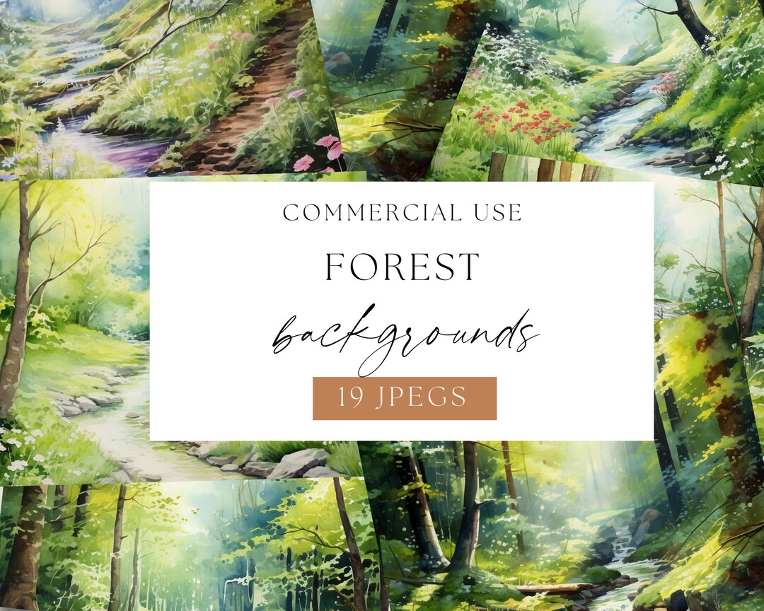Forest Backgrounds, Nature Landscape, Woodland Image, Jungle Stream ...