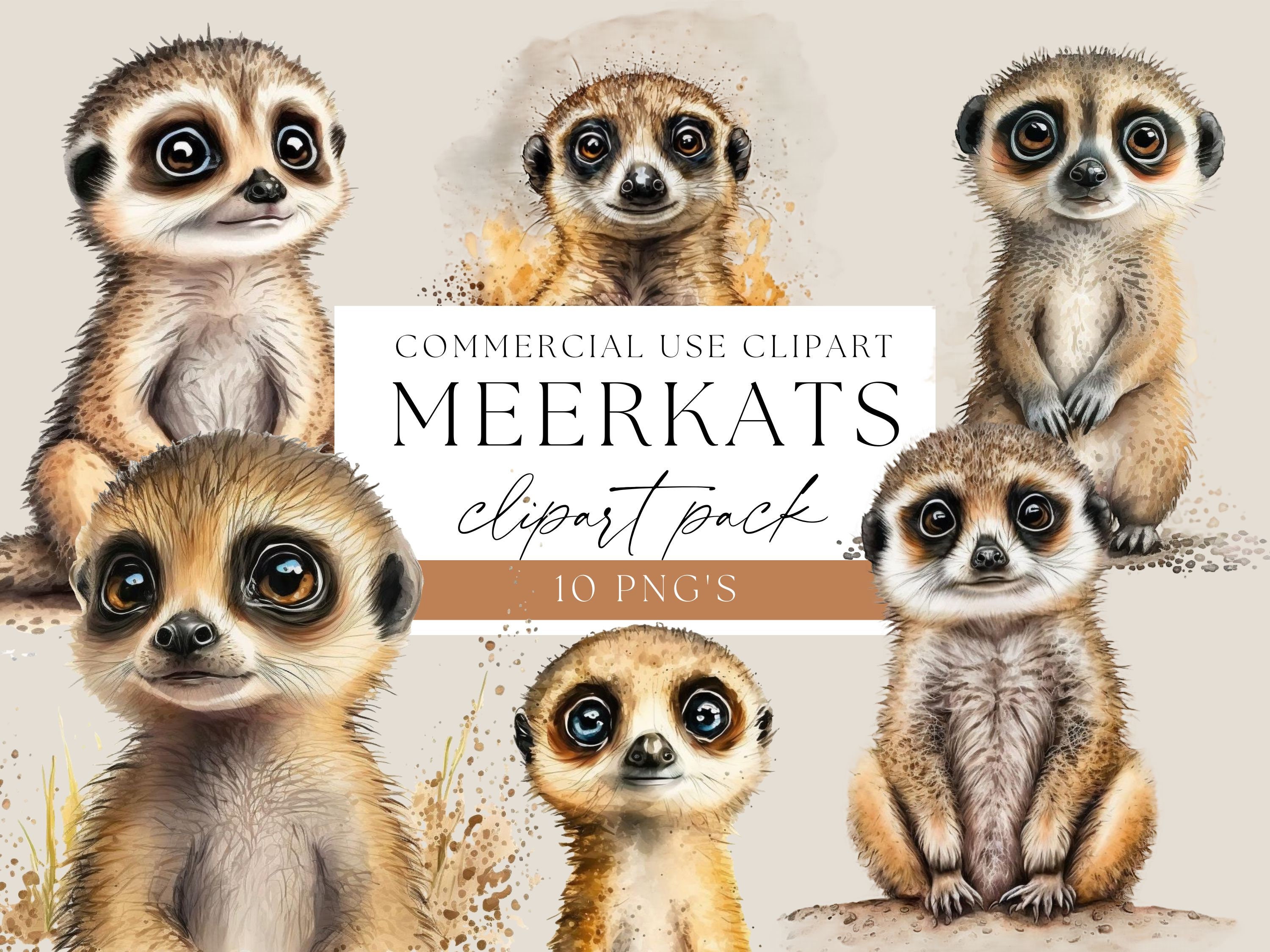 Meerkat Clipart, Transparent Pngs, Meerkat Clip Art, Watercolor ...