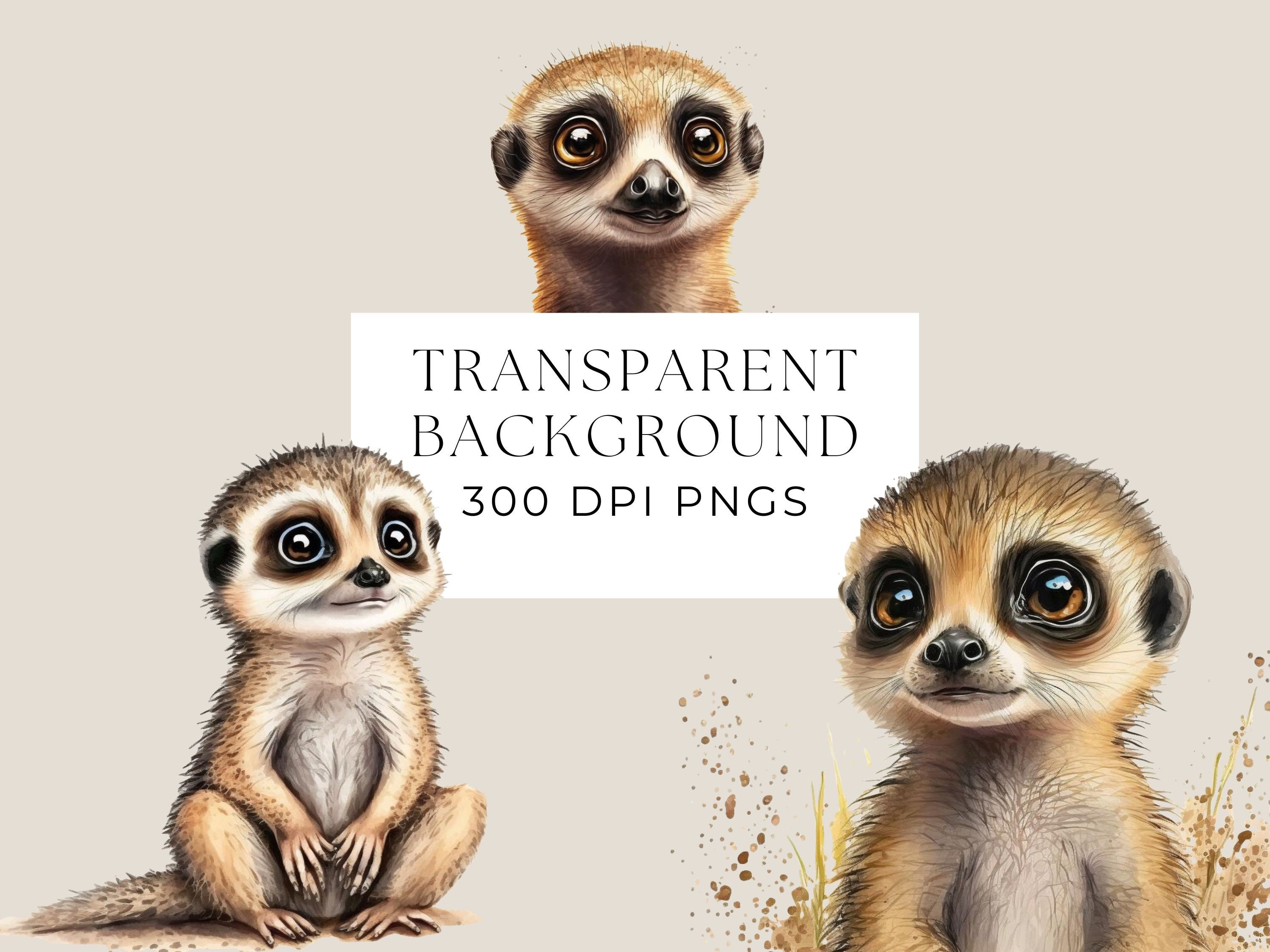 Meerkat Clipart, Transparent Pngs, Meerkat Clip Art, Watercolor ...