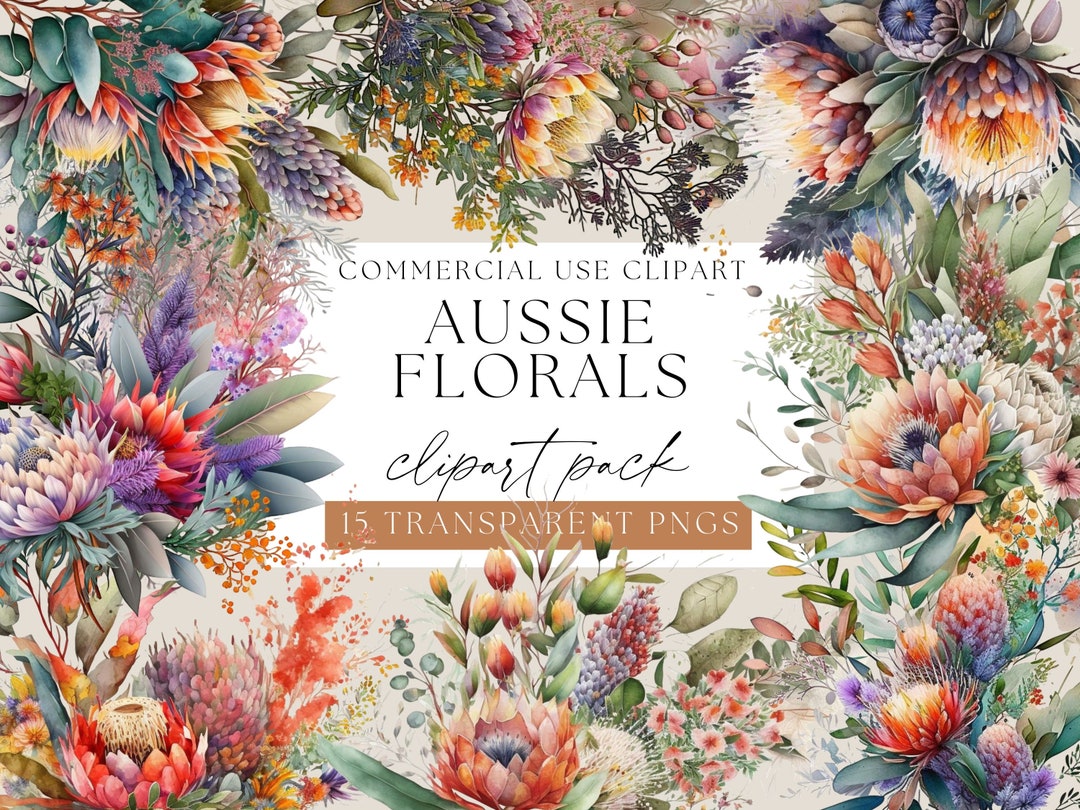 Australian Native Flowers Clipart, Protea Flowers, Transparent Pngs ...