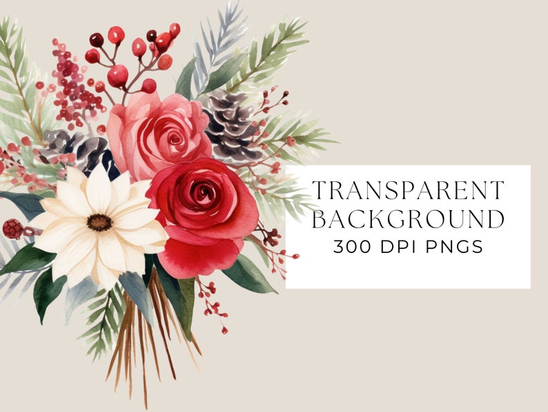 Christmas Florals Clipart, Transparent Pngs, Xmas Clip Art, Watercolor ...