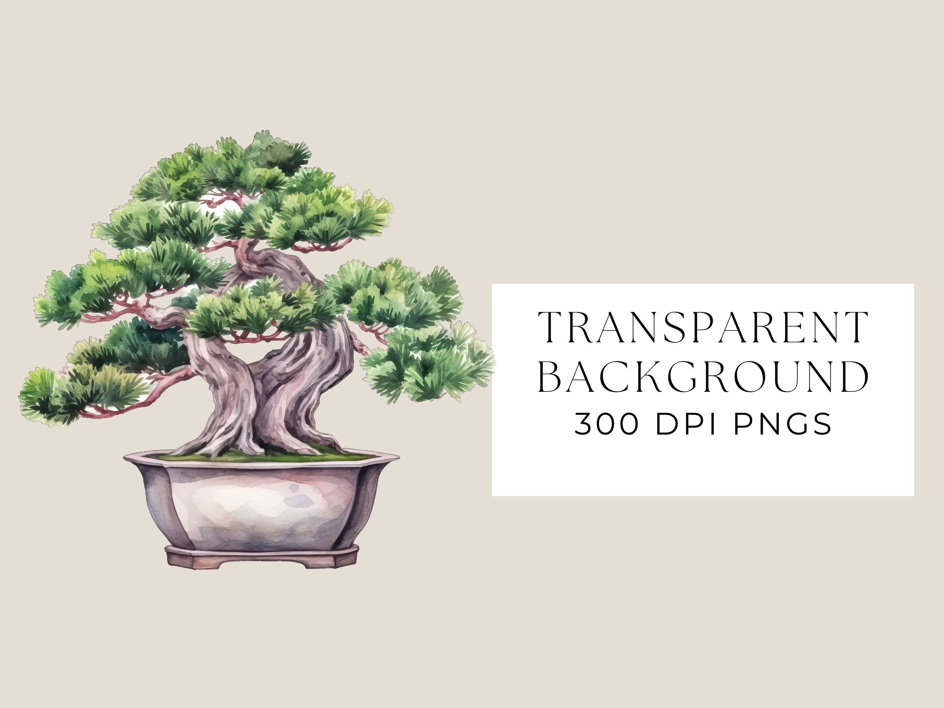 Digital Download, Bonsai Plant, Bonsai Png, Watercolour Bonsai ...