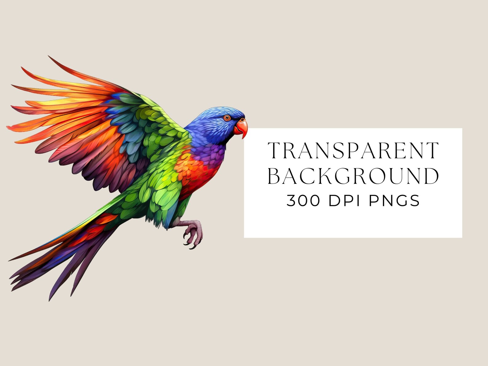 Rainbow Lorikeets, Native Birds, Colorful Birds, Lorikeets, Australian ...