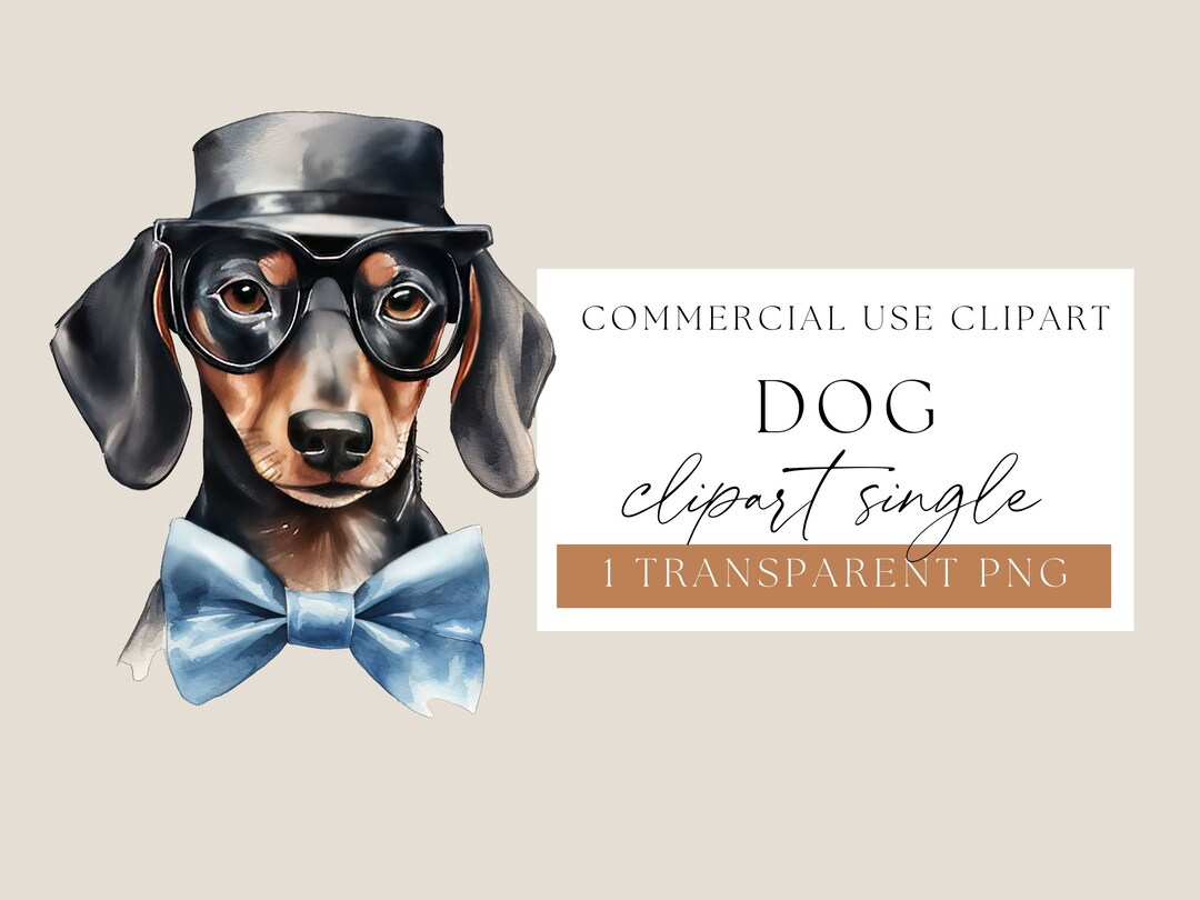 Funny Dachshund Clipart, Watercolor Dog Clip Art, Weiner Dog Png ...