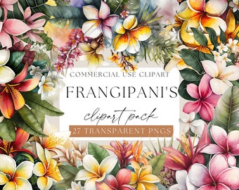 Tropical Flower Plumeria Frangipani. Watercolor Floral Clipart - Etsy