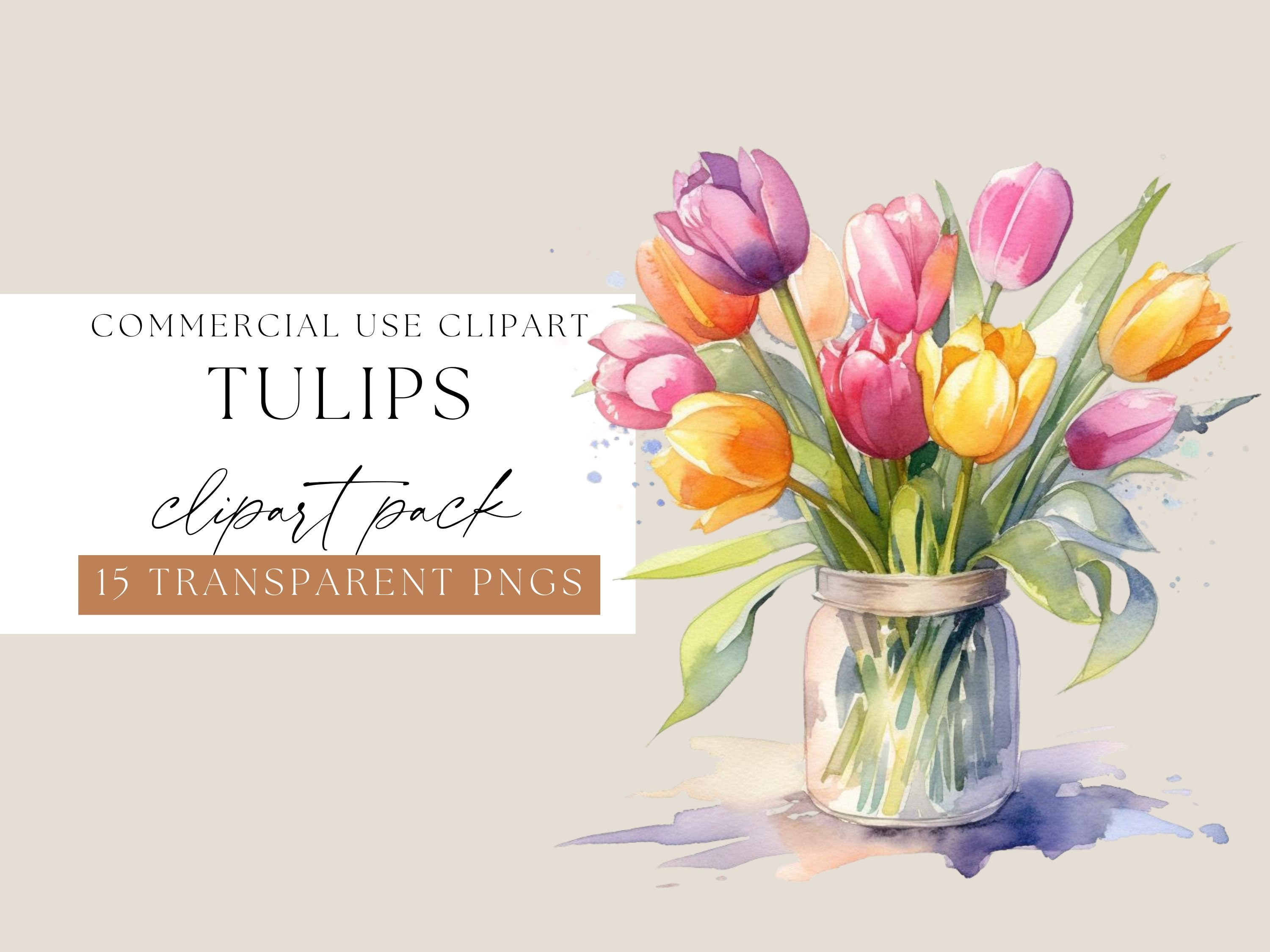Tulip Watercolor Clipart, Watercolor Florals, Transparent Png, Spring ...