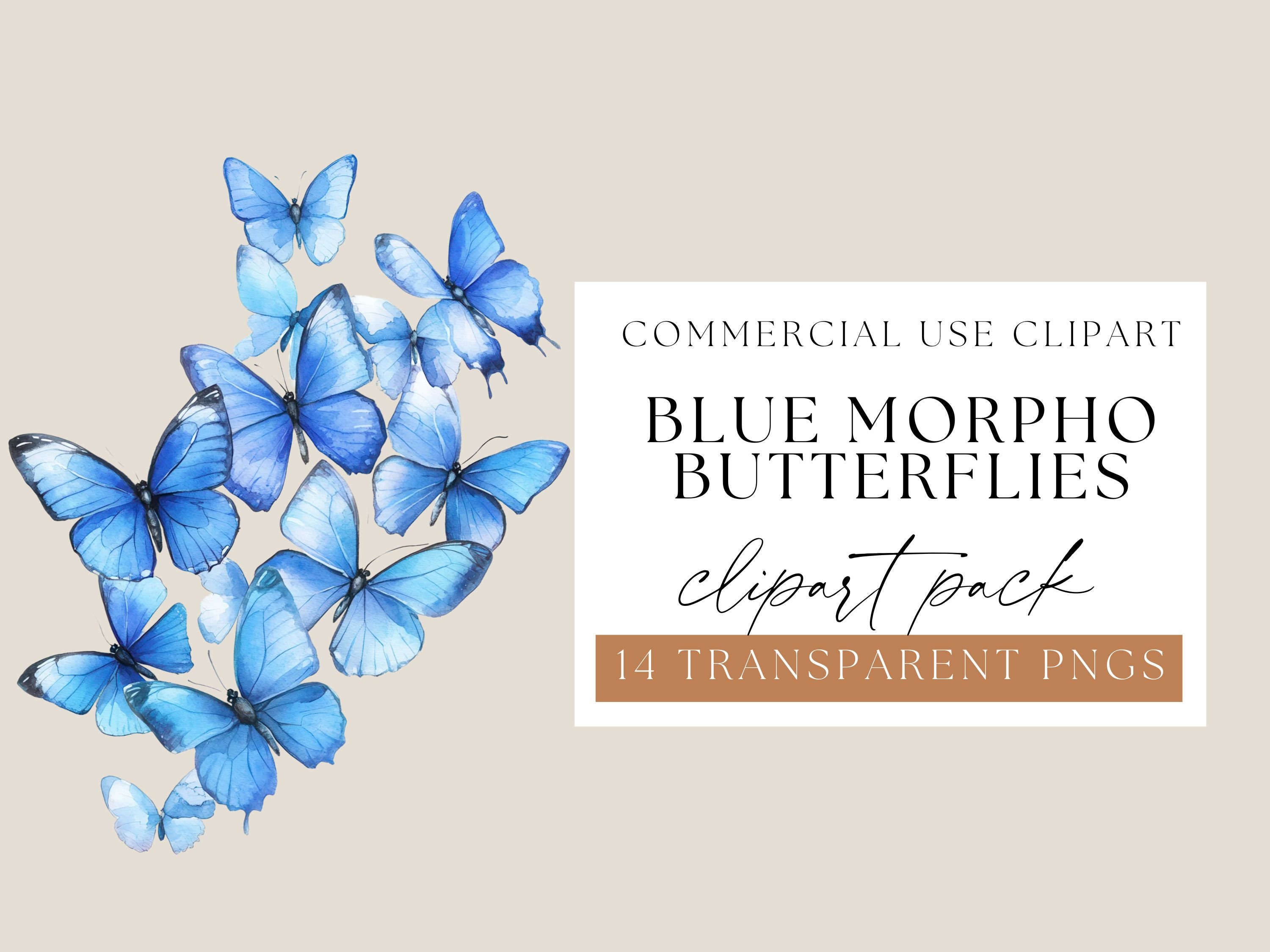 Butterfly Watercolor Clipart, Blue Butterflies, Transparent Png ...