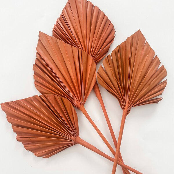 Palm Spears - Etsy