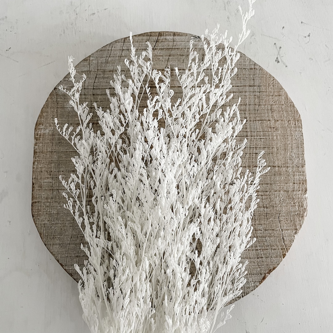 Natural Dried Flowers, Boho/coastal, Preserved Limonium/misty, Creamy ...