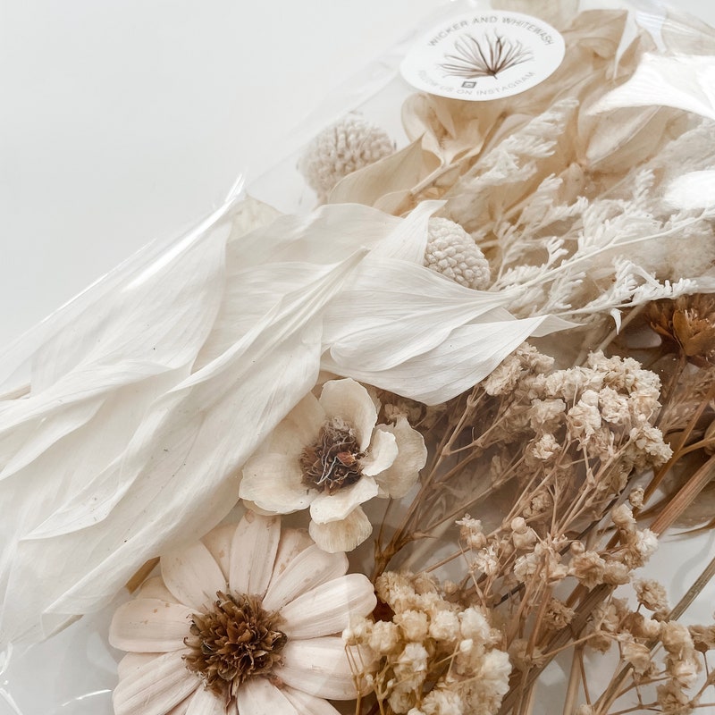 Dried Flower Stems - Etsy