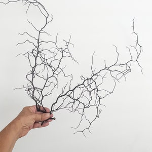 Natural Dried Flowers, Boho / Coastal Style Corokia Stems, per Stem ...