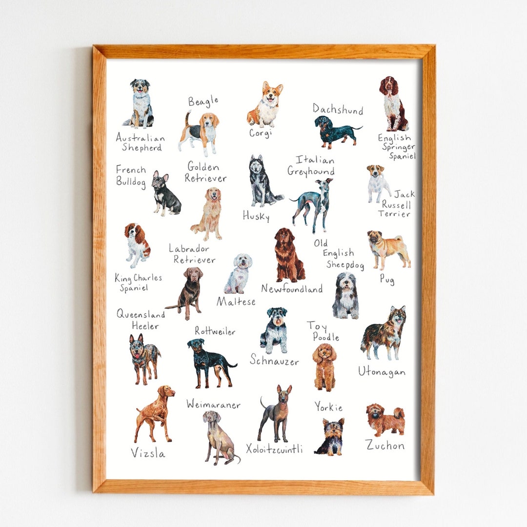 Alphabet Dog Breed Print, A-Z Dog Print, Dog Breed Poster, 8.5” X 11 ...