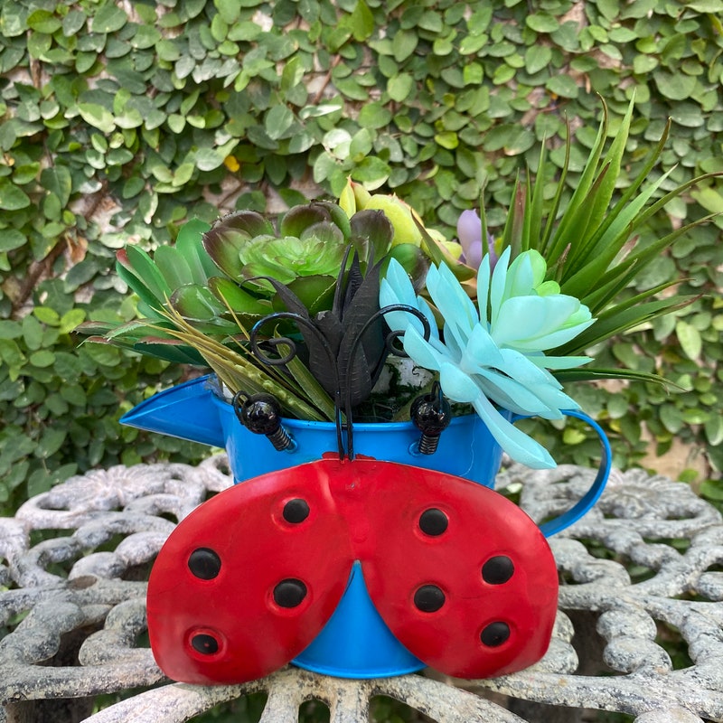 Ladybug Planter - Etsy