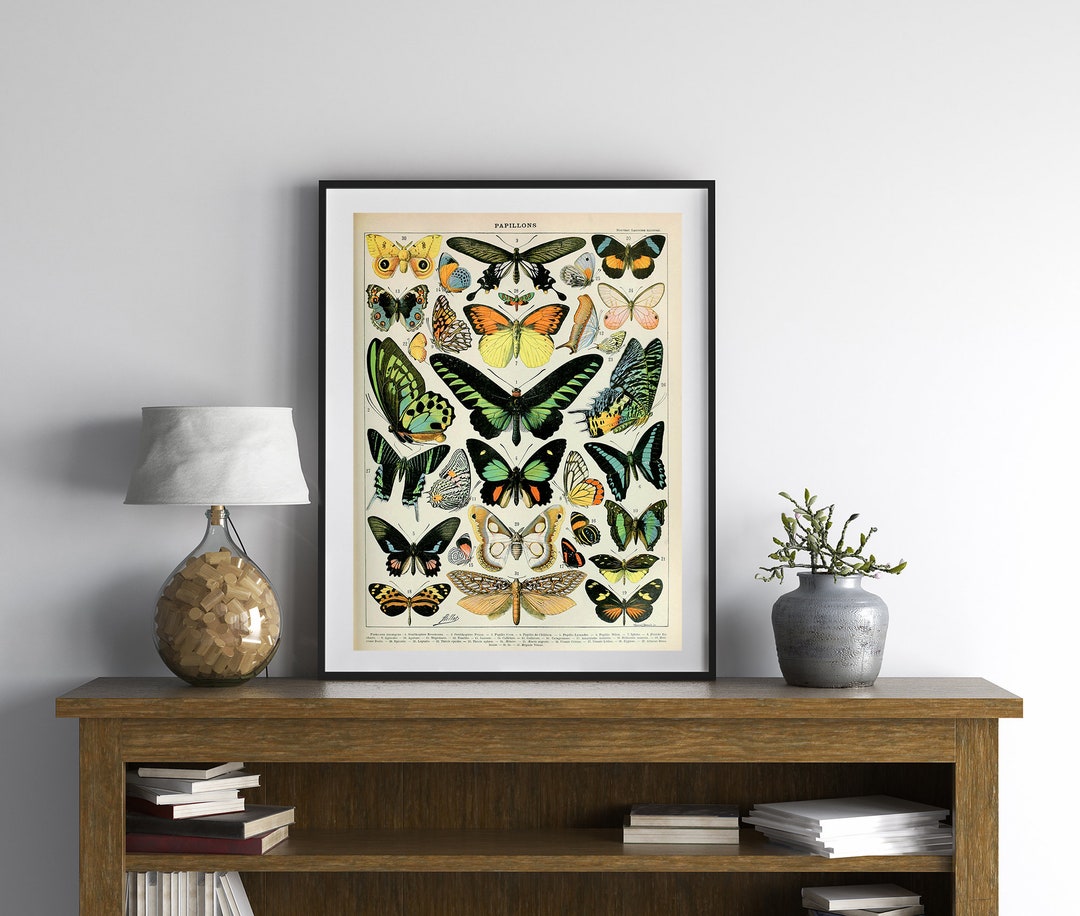Butterfly Wall Art, Papillons Art Print, Butterflies Wall Decor 2 - Etsy