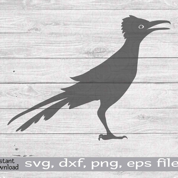 Roadrunner Clipart Vector - Etsy