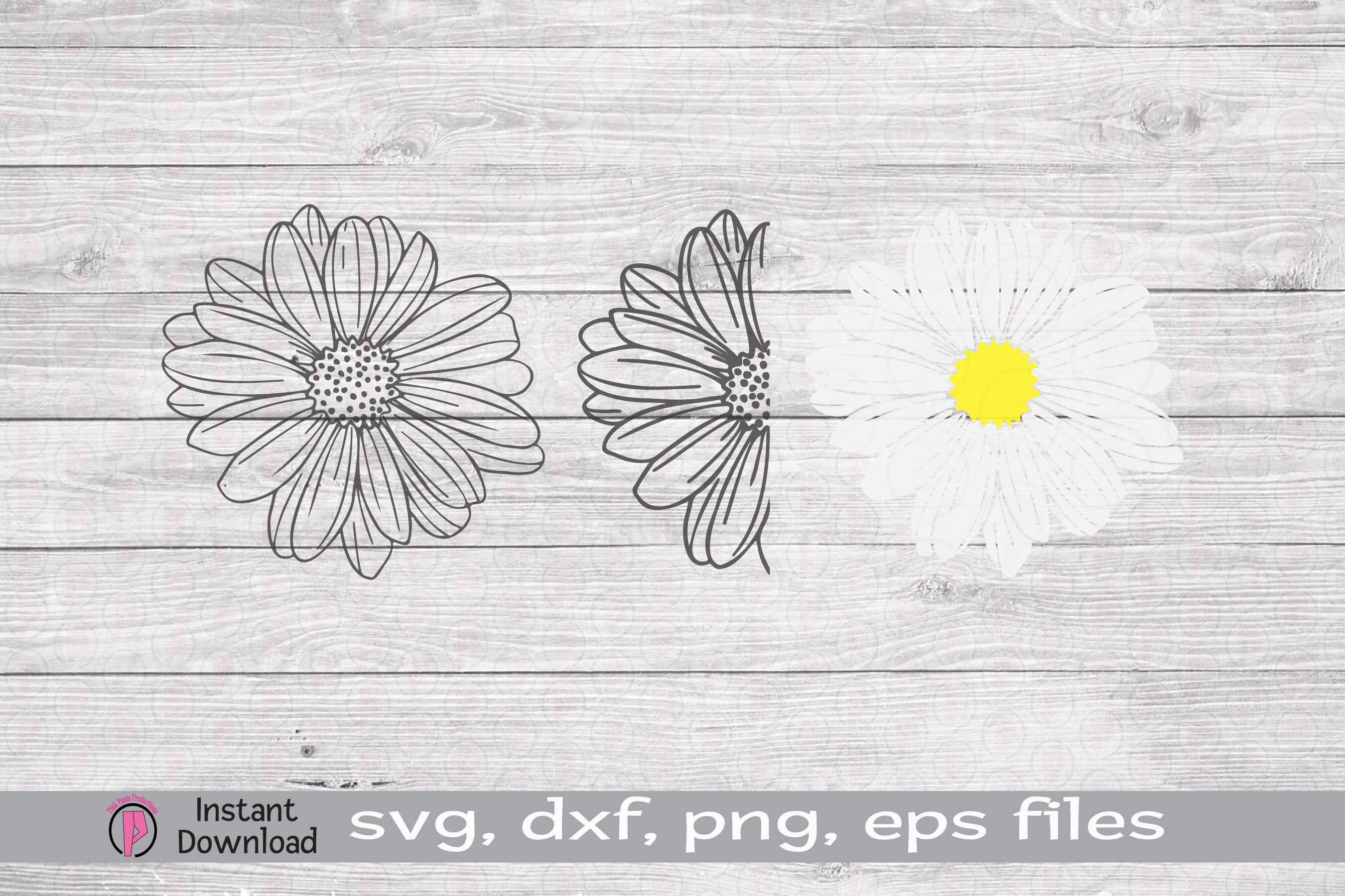 Daisy SVG Hand Drawn Daisy Bundle Daisy Cut File Half Daisy | Etsy