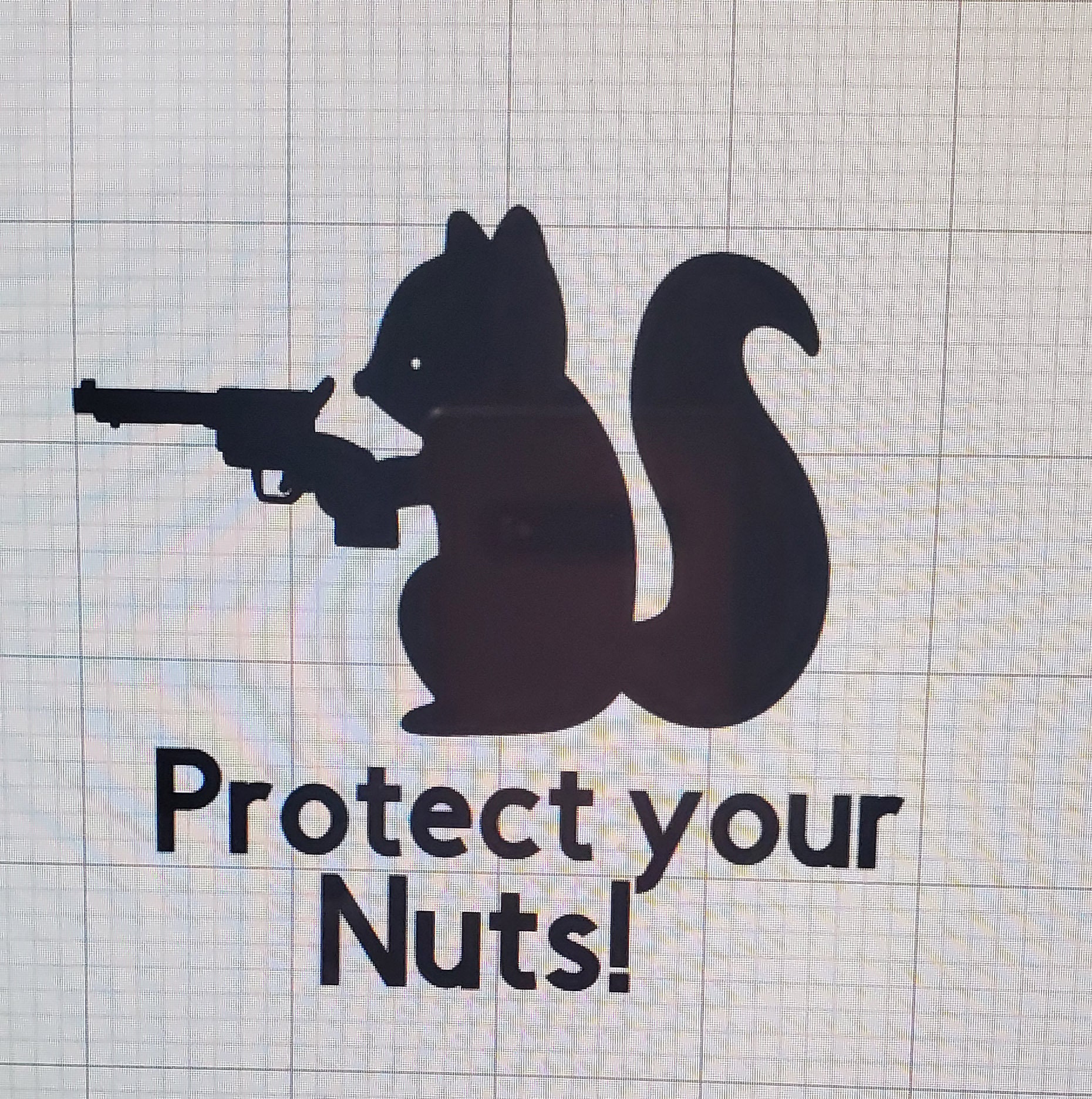 Protect Your Nuts. Squirrel Vinyl Sticker 4"x3.5" - Etsy