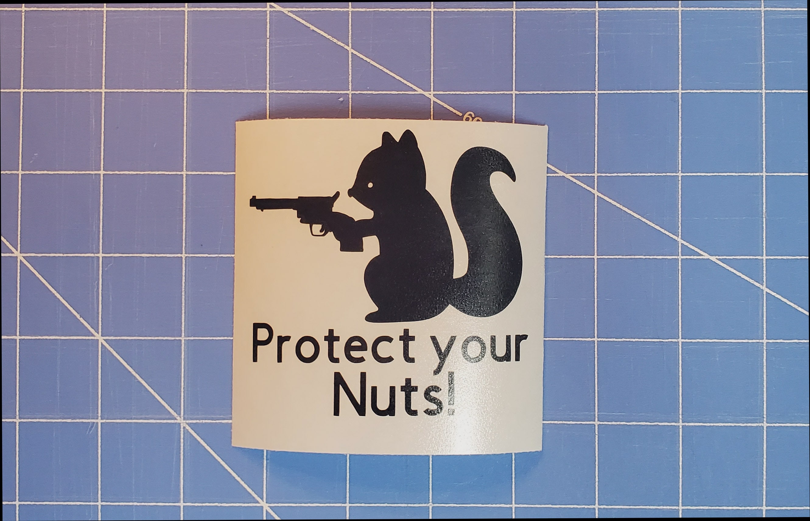 Protect Your Nuts. Squirrel Vinyl Sticker 4"x3.5" - Etsy