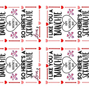 Scrunchie Valentine Printable/ I Like You a Bunchie Gift Tag/classroom ...