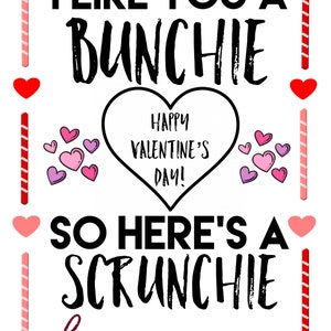 Scrunchie Valentine Printable/ I Like You a Bunchie Gift Tag/classroom ...