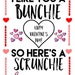 Scrunchie Valentine Printable/ I Like You a Bunchie Gift - Etsy