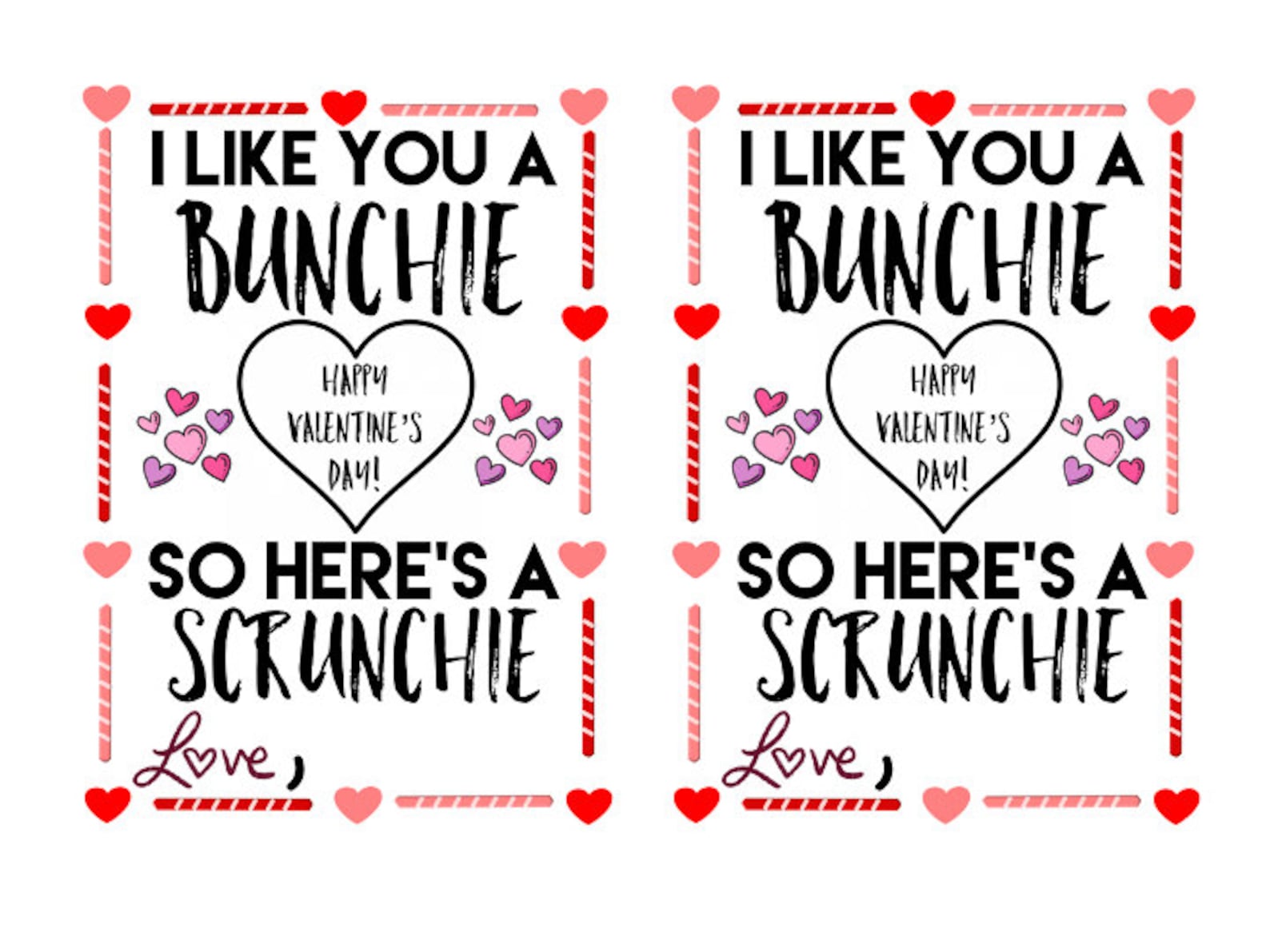 Scrunchie Valentine Printable/ I Like You a Bunchie Gift Tag/classroom ...