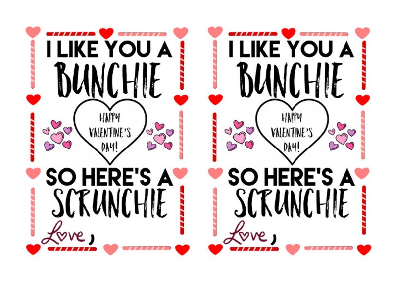 Scrunchie Valentine Printable/ I Like You a Bunchie Gift Tag/classroom ...