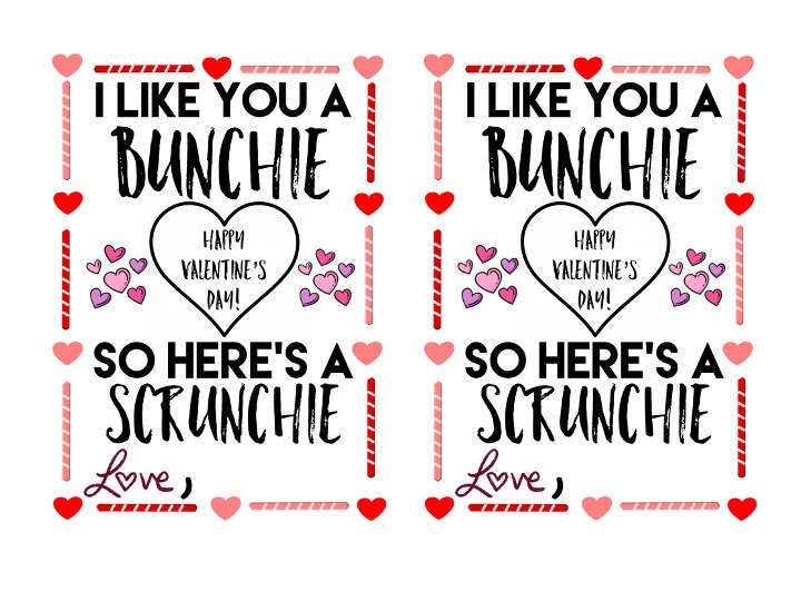 Scrunchie Valentine Printable/ I Like You a Bunchie Gift Tag/classroom ...