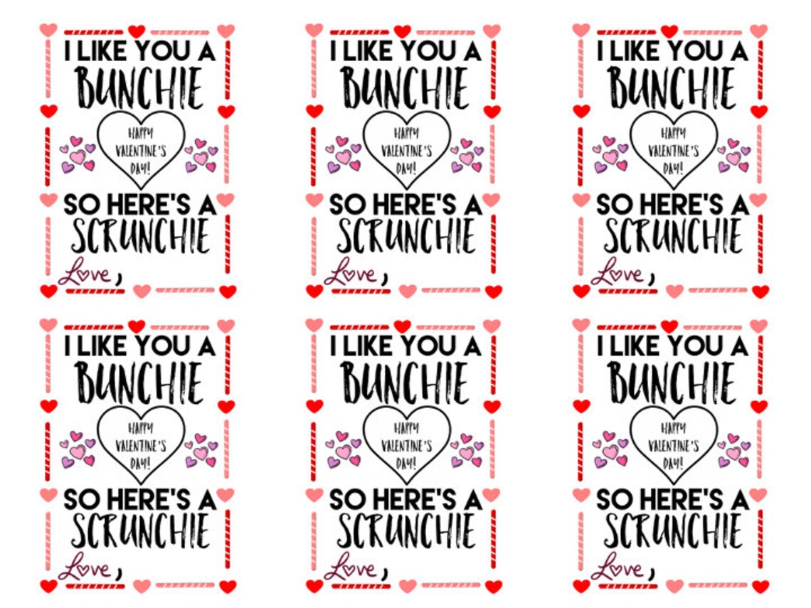 Scrunchie Valentine Printable/ I Like You a Bunchie Gift - Etsy