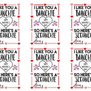 Scrunchie Valentine Printable/ I Like You a Bunchie Gift Tag/classroom ...
