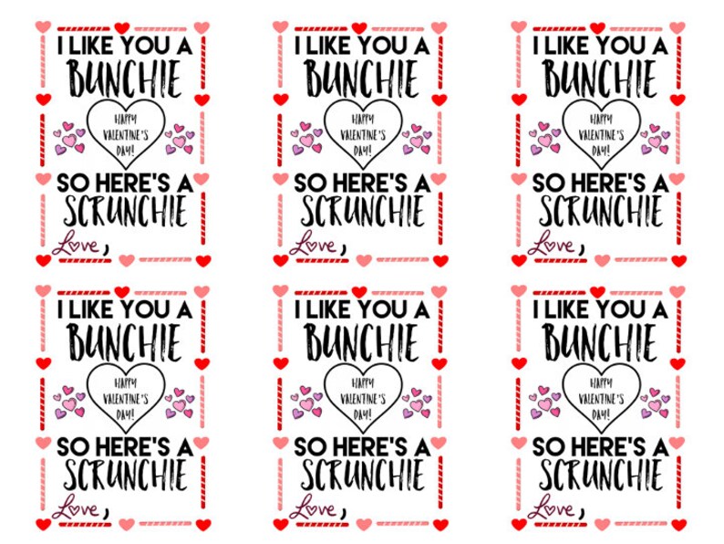 Scrunchie Valentine Printable/ I Like You a Bunchie Gift Tag/classroom ...