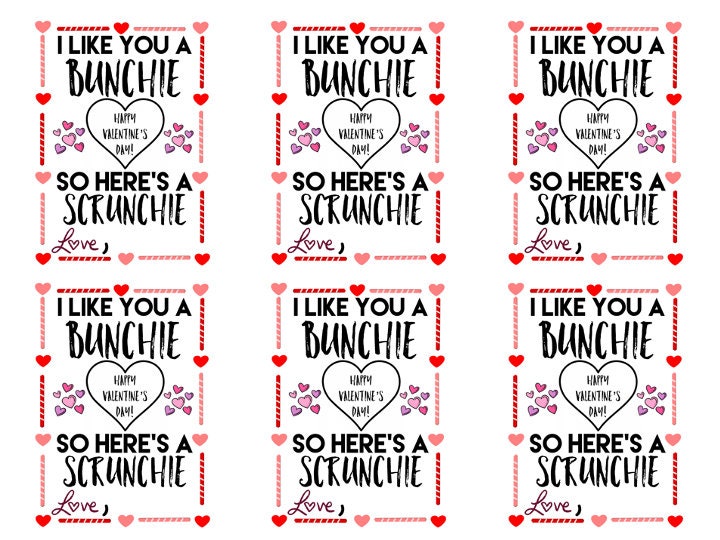 Scrunchie Valentine Printable/ I Like You a Bunchie Gift Tag/classroom ...