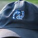 Koi Fish Embroidered Hat | Japanese Koi, Tui and La, Carp Koi Pond - Etsy