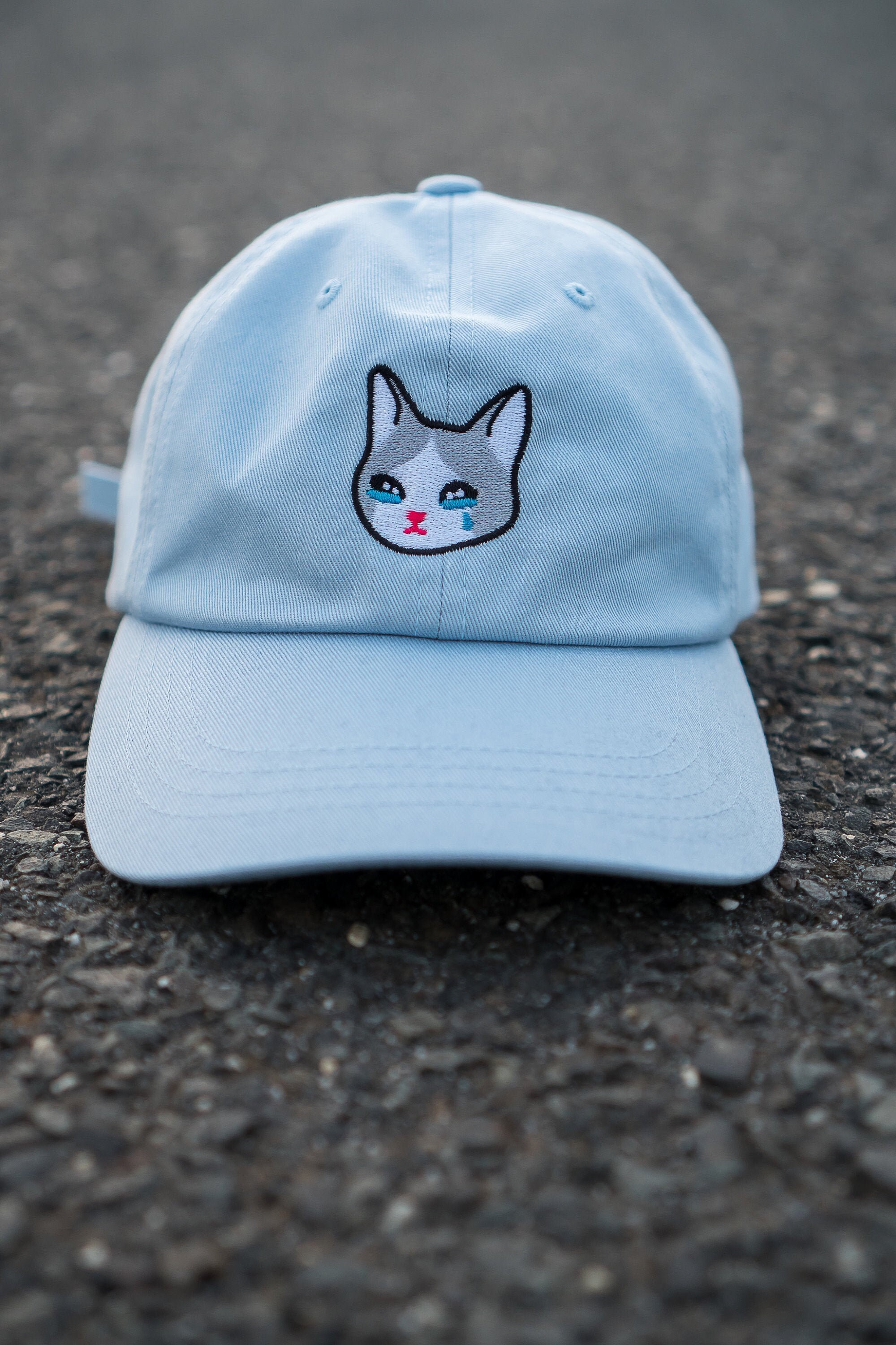 Cat Dad Hat | Sad Cat, Crying Cat Meme, Funny Cat Hat, Cap for Cat ...