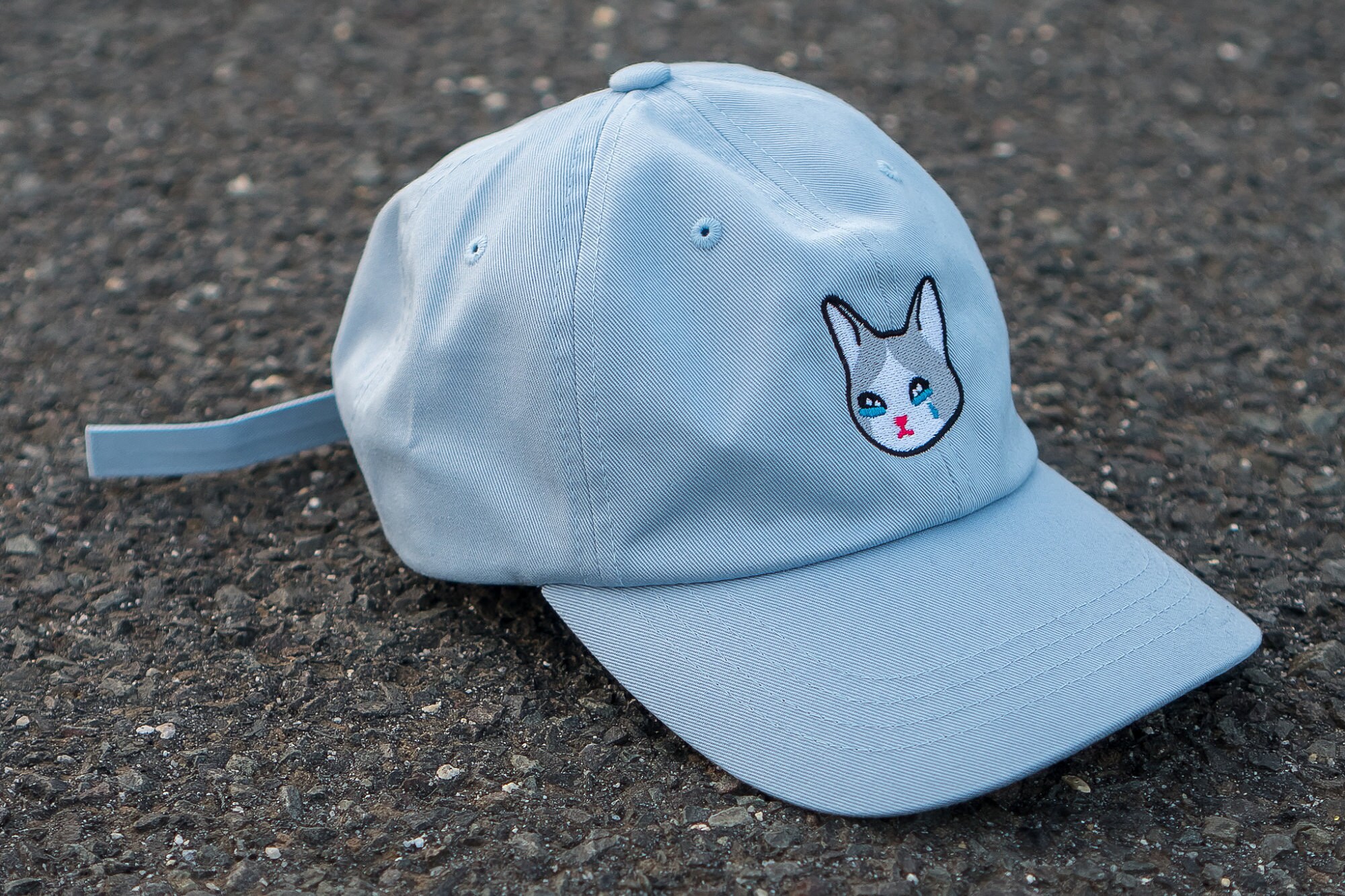 Cat Dad Hat Sad Cat Crying Cat Meme Funny Cat Hat Cap for - Etsy