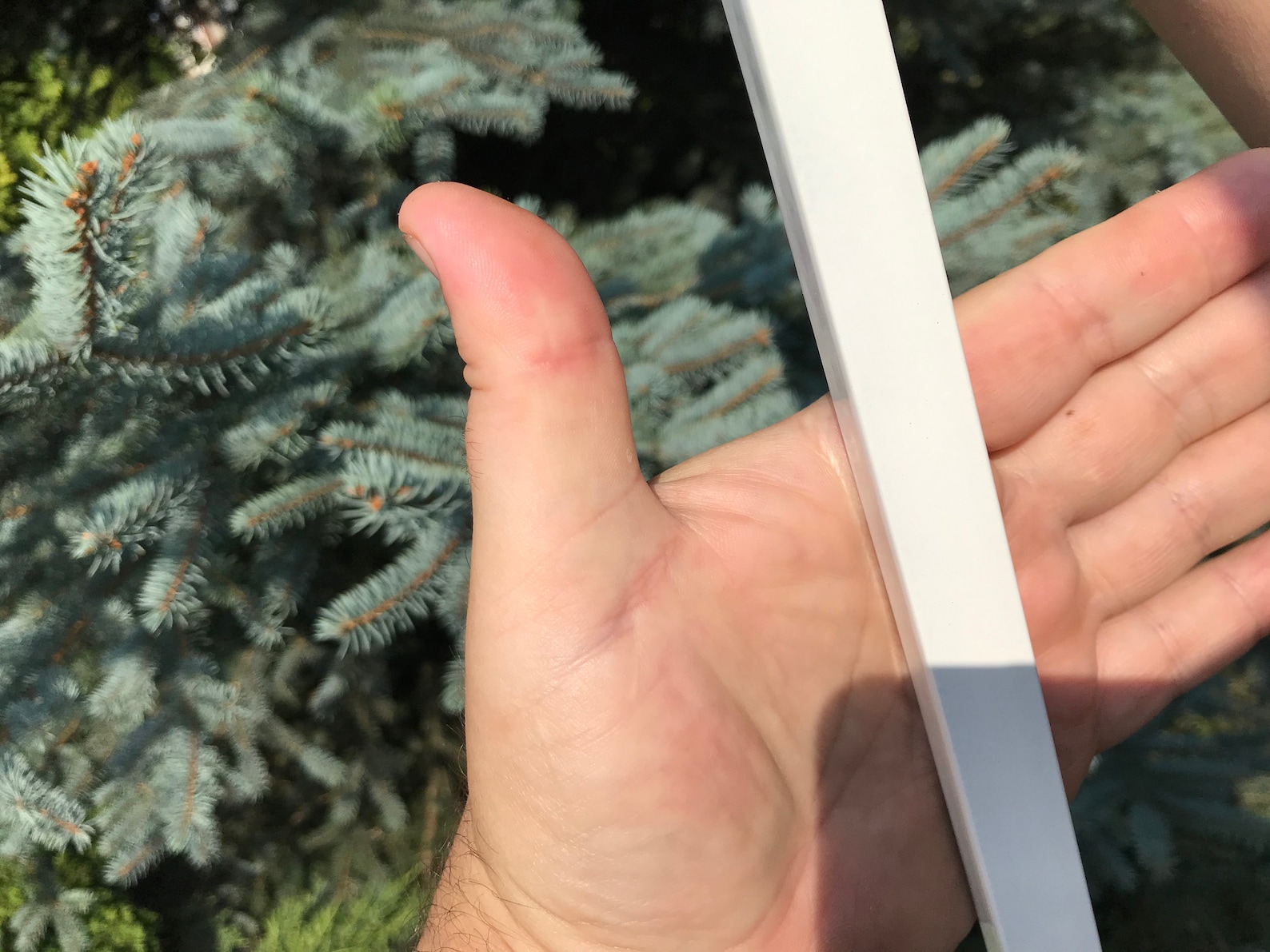 Metal Frame of Chupawedding Chuppah Canopy Jewish Wedding | Etsy