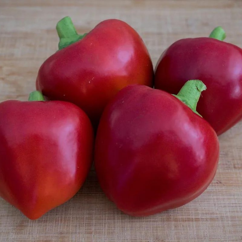 Pimento Pepper Plant - Etsy