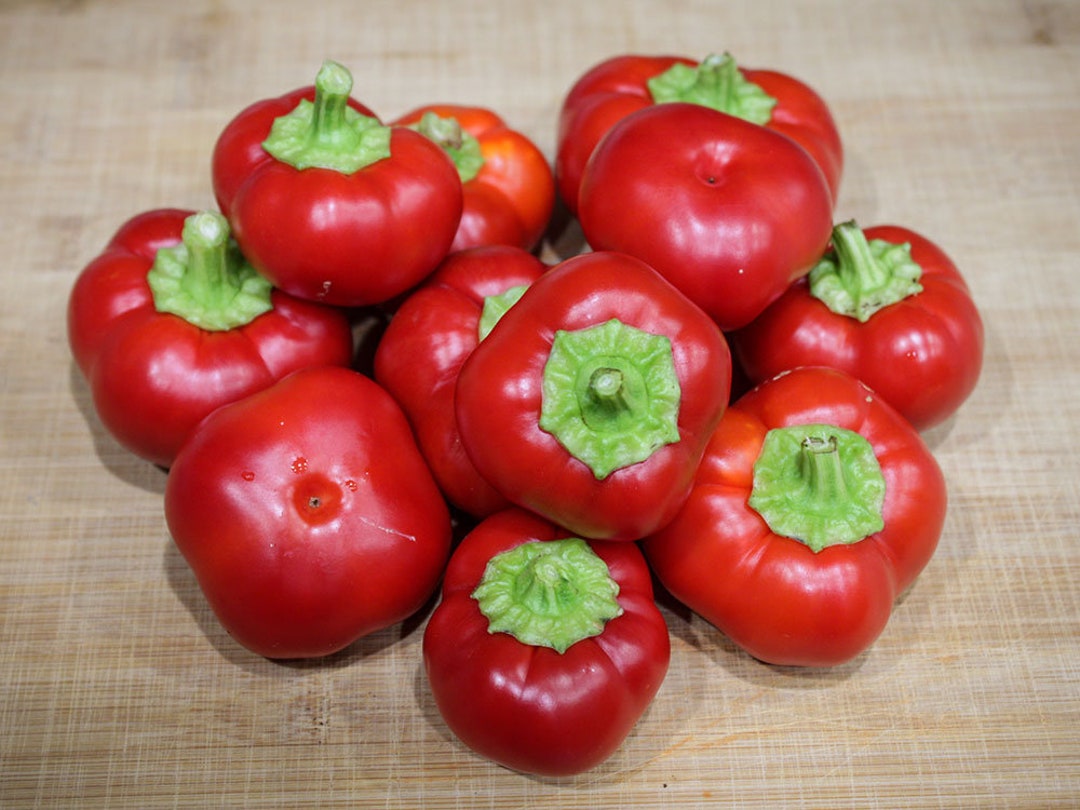 Alma Paprika Pepper Seeds: Mild, Compact Garden Plants - Etsy