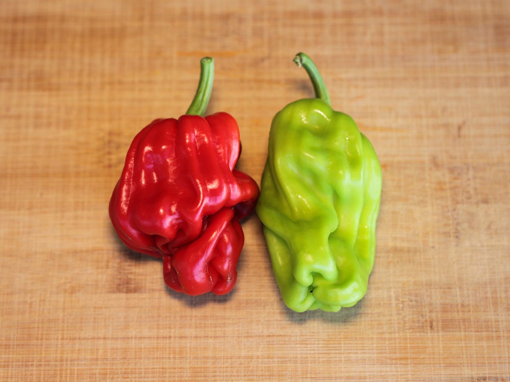 Dragon Toe Pepper Seeds 15 Seeds per Pack - Etsy