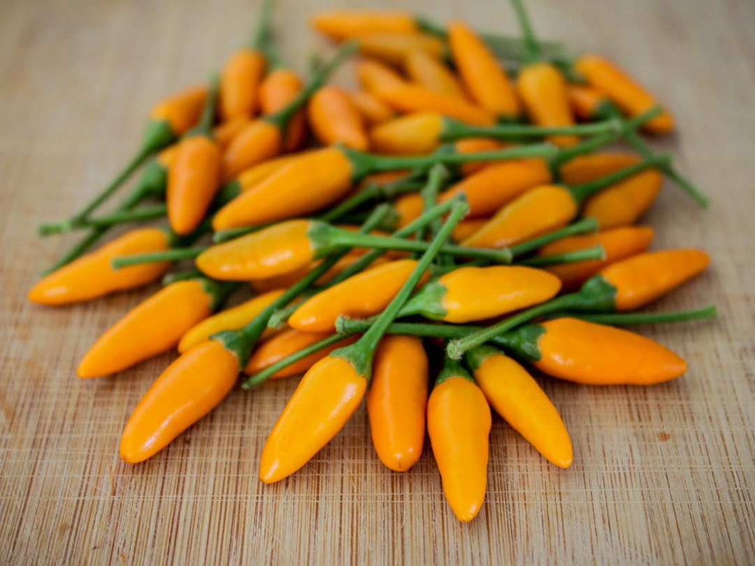African Yellow Pequin Pepper Seeds: Spicy Citrus Flavor - Etsy