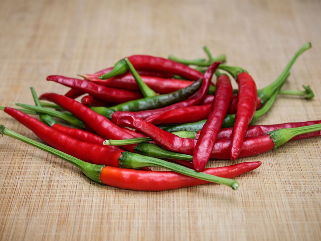 Santaka Chili Pepper Seeds: Heirloom Japanese Peppers, Bold Flavor - Etsy