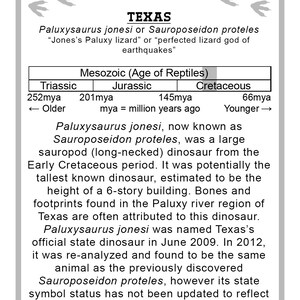 Dinosaur Roadtrip PIN - Texas's Paluxysaurus - Etsy