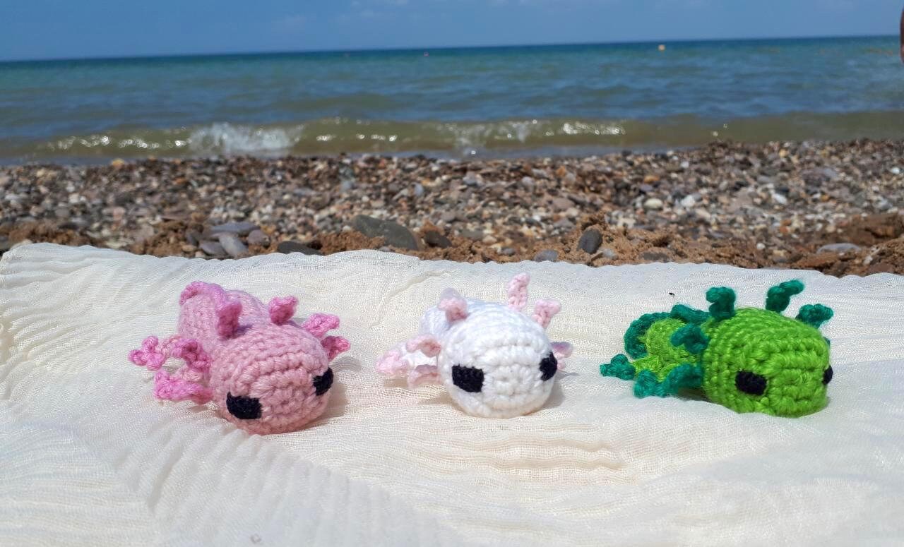 Axolotl Minecraft Crochet Minecraft Axolotl Plush Crochet - Etsy
