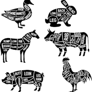 Butcher SVG Bundle, Cuts of Meat SVG, Beef Cuts Svg, Cuts of Pork Svg ...
