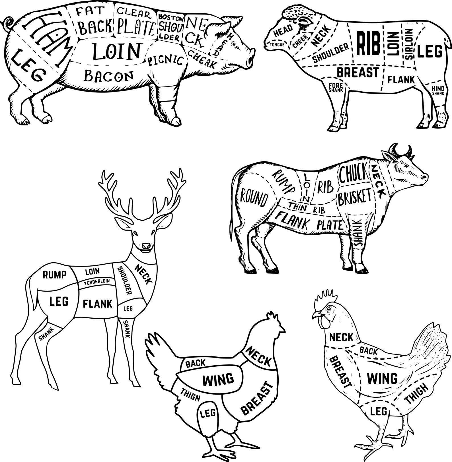 Butcher SVG Bundle, Cuts of Meat SVG, Beef Cuts Svg, Cuts of Pork Svg ...