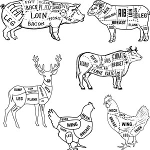 Butcher SVG Bundle, Cuts of Meat SVG, Beef Cuts Svg, Cuts of Pork Svg ...