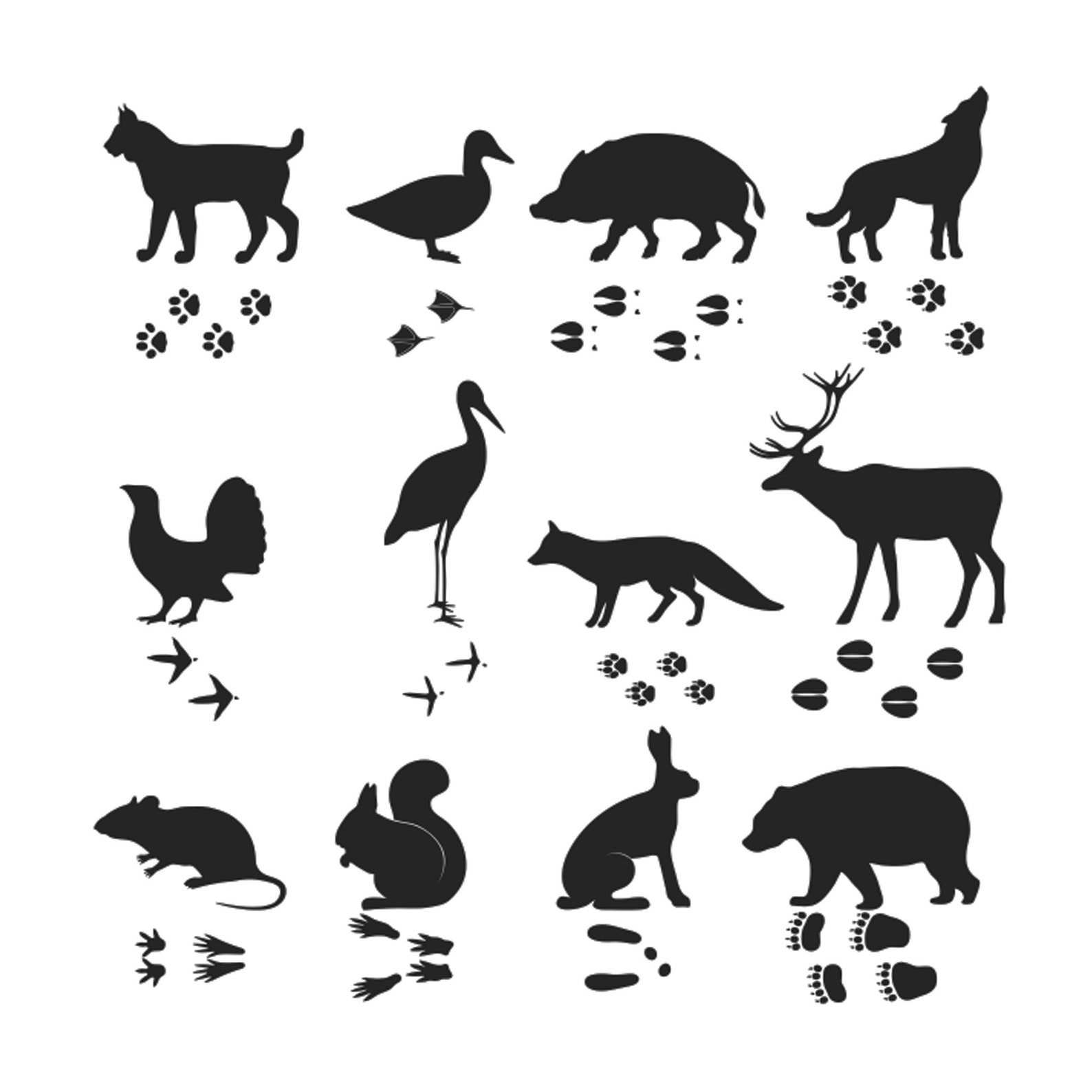 Animals and Their Tracks Svg, Lasercut File, Fox, Duck, Deer, Hare ...